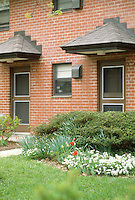 Young Terrace - Images | Norfolk Redevelopment and Housing Authority