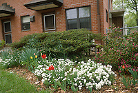 Young Terrace - Images | Norfolk Redevelopment and Housing Authority