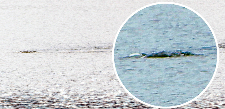Photographs Taken at Loch Ness Assembled in Video Which Claims to Show ...