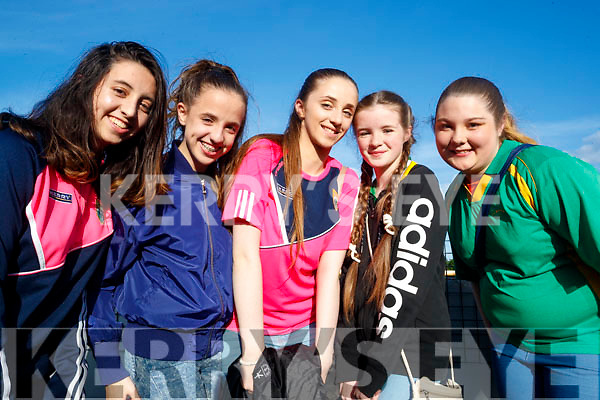 25 Greyhound GAA 5701.jpg | Kerry's Eye Photo Sales