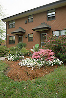 Young Terrace - Images | Norfolk Redevelopment and Housing Authority