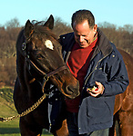 Equine photography, horseracing photography, Thoroughbred, racehorses ...
