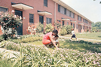 Young Terrace - Images | Norfolk Redevelopment and Housing Authority