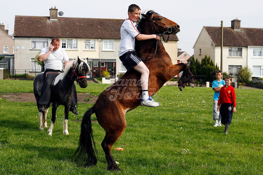 irish horse culture356.jpg | Sydney Photographer James Horan's archive